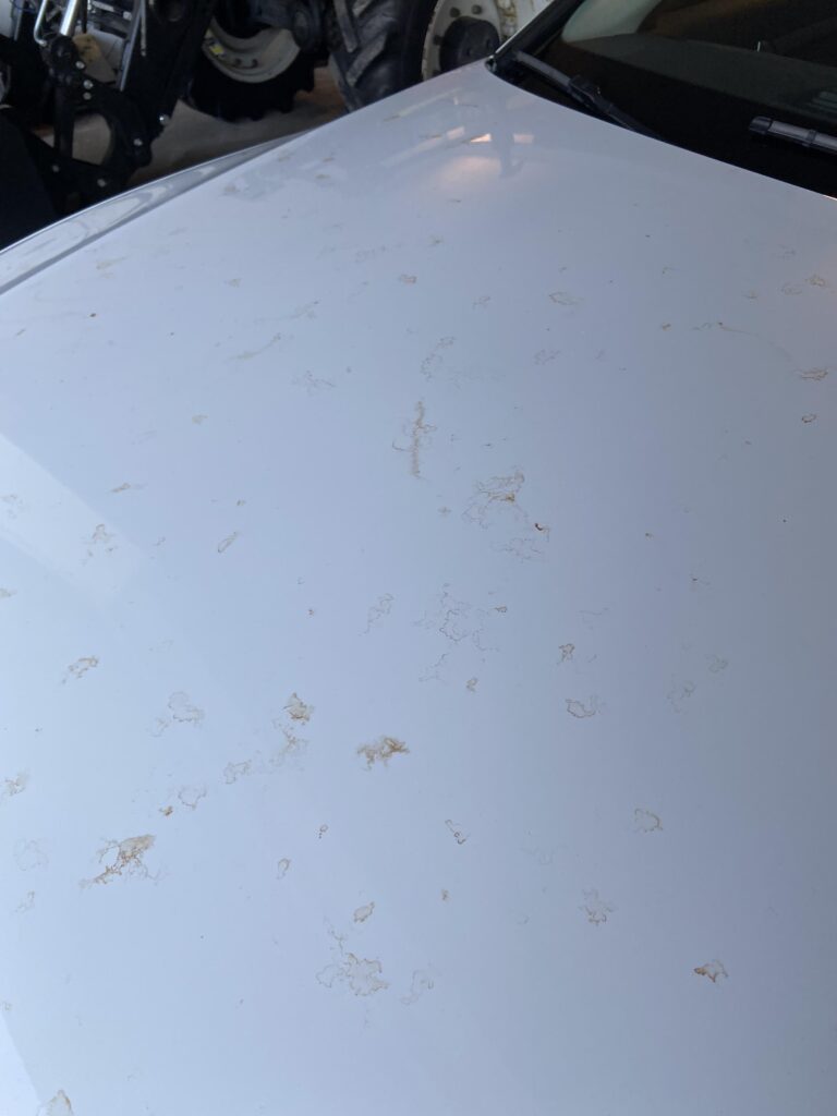 Small Rust Spots on White Car? Here’s What You Should Do Now ...